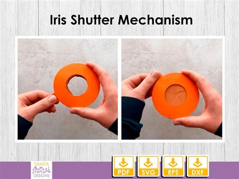 DIY Paper Iris Shutter Mechanism SVG Printable PDF Template Mechanical Iris Template Iris