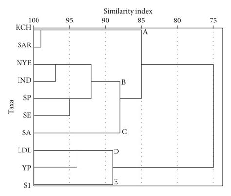 Phenogram Presented Based On The Average Linkage Between Groups Using