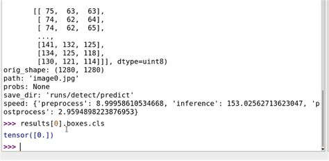 Getting Started With Yolo Object And Animal Recognition On The