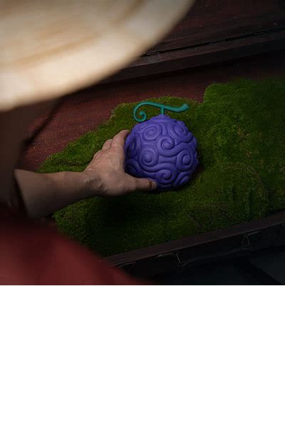 One Piece Squishy Gum Gum Fruit › Comics Lv