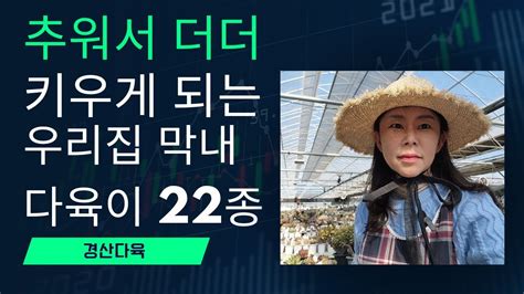 예뻐서 더 사게 되는 되는 다육이 22종 주문 하세요 🎶 🎵 경산다육 010 9745 6245 Youtube
