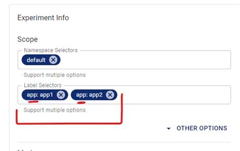 Podchaos Multiple Label Selectors With The Same Key Fails · Issue 3540 · Chaos Meshchaos Mesh