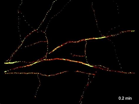 Ben Williamson Hehim On Linkedin Whhuuuuuuuuuttttt