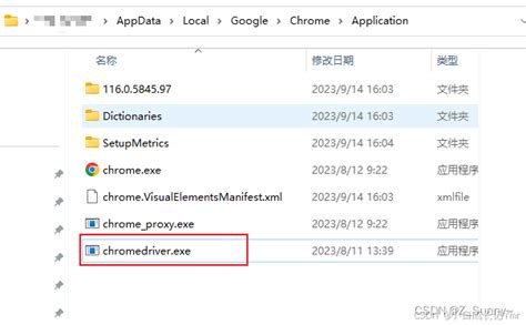selenium安装webdriver最新chrome驱动并启动chrome浏览器 chrome webdriver csdn博客