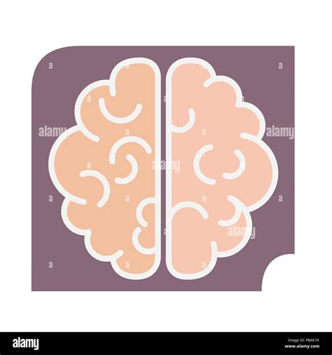 Vector Brain Icon In Flat Gradient Style Stock Vector Image And Art Alamy