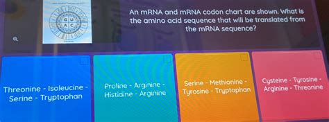 An Mrna And Mrna Codon Chart Are Shown What Is The Amino Acid Sequence That Will Be Translated