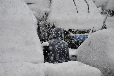 东北有雪乡胶东有雪窝山东烟台暴雪袭城市民出行如入仙境