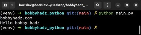 How To Keep A Python Script Output Window Open 7 Ways Bobbyhadz