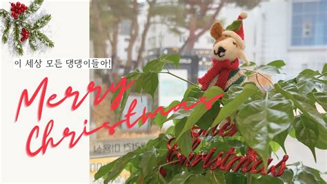 Vlog 감성터지는 강아지미용실 크리스마스분위기로 꾸미기🎅🏻🎄 Youtube