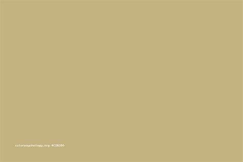 Ecru What Color Is Ecru Meaning Hex Code Psychology