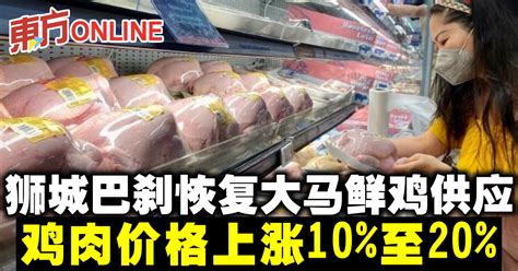 狮城巴刹恢复大马鲜鸡供应 鸡肉价格上涨10至20 国际 東方網 馬來西亞東方日報