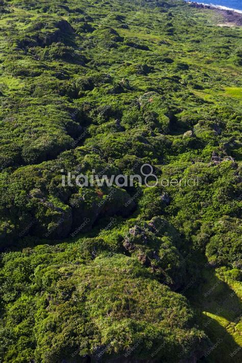 iTaiwan8 圖片 龍坑珊瑚礁隆起台地