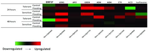 real time validation of rna seq results download scientific diagram