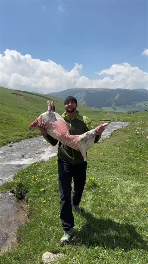 🇲🇳ᠲᠩᠷᠢ ᠮᠣᠩᠭᠣᠯ ᠭᠠᠵᠠᠷ🇲🇳 On Twitter Доор нь сүүл зулж хийдэгтэй адил тогооны хорхог гэдэг