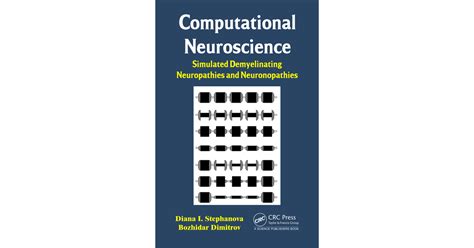 Computational Neuroscience Book