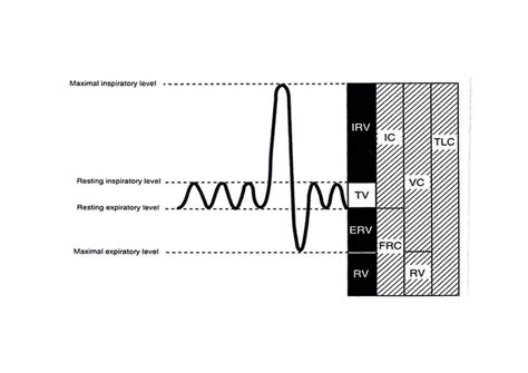 Pulmonary Function Tests Ppt
