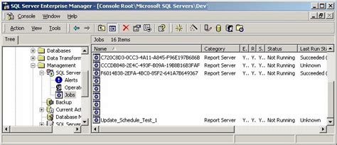 Howto Create An Asynchronous Schedule For A Report Server Report