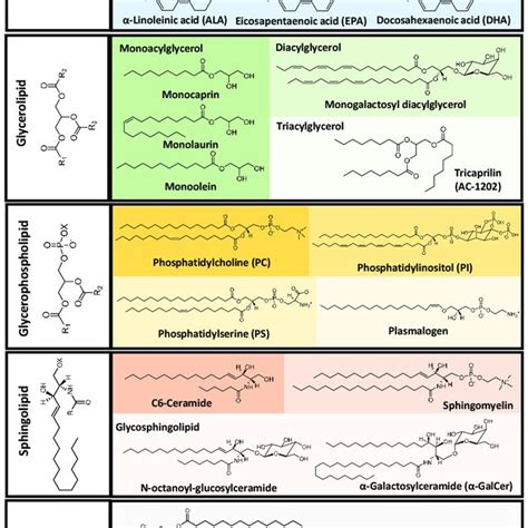 Structure Based Classification Of Lipids And Representative Lipid
