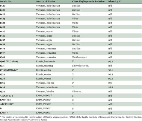 Sources And Taxonomic Position Of Bacterial Test Culture Strains Download Table