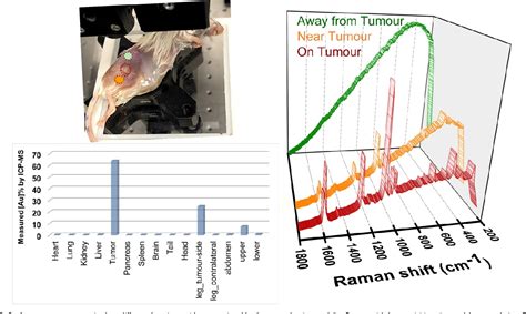 Figure 1 From Surface Enhanced Deep Raman Detection Of Cancer Tumour Through 71 Mm Of