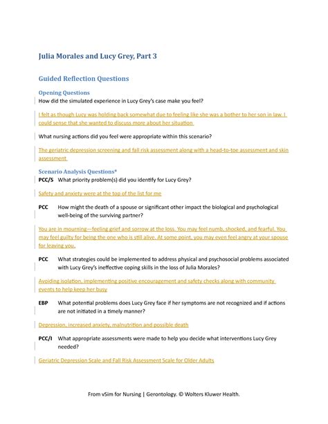 Vsim Guided Reflection Julia Morales And Lucy Grey Part 3 Guided