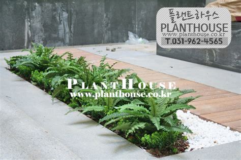 인조식물 부산 아파트 화단 인조식물 조경 여러가지 인조식물로 화단 꾸미기 플랜트하우스 네이버 블로그