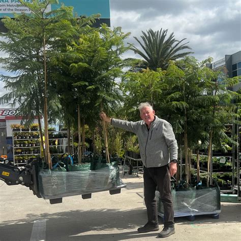 Our Story Hello Hello Plants And Garden Supplies