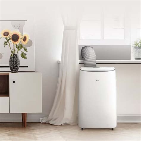 Installing An Lg Portable Air Conditioner At Maggie Parham Blog