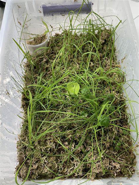 Does Anyone Know Whats Growing In My Prop Bin Rpropagation