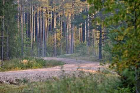 Multi Level Forest Operations Planning And Optimization Saves Many