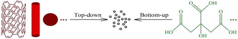 The Schematic Of The Preparation Of Cqds Download Scientific Diagram