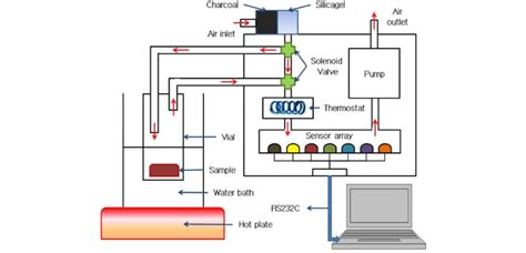 Schematic Diagram Of The Electronic Nose System Download Scientific