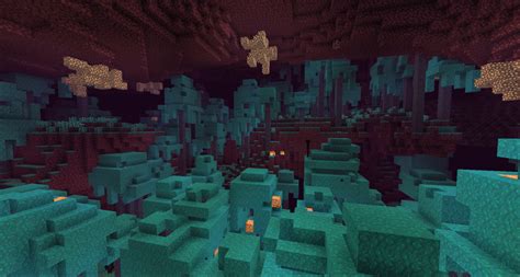 Warped Forest Official Minecraft Wiki