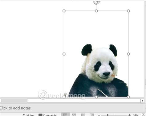 How To Remove Image Background In Powerpoint