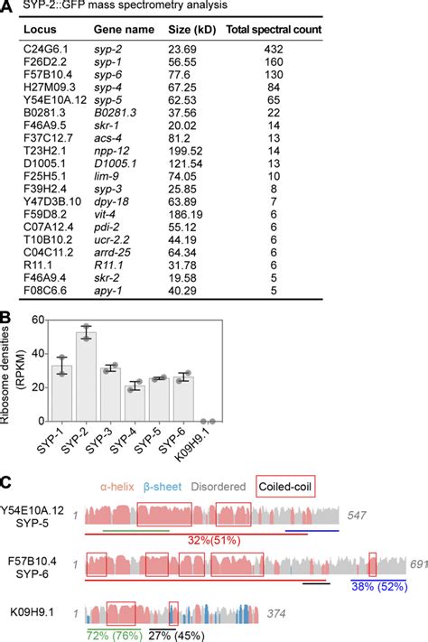 Identification Of Syp 2gfp Binding Proteins A List Of Syp 2gfp