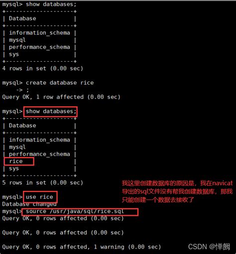看了必成功的阿里云服务器上部署web项目，包括了基本遇到的所有问题如何解决步骤，包含如何在navicat上连接阿里云部署web项目惮阙的