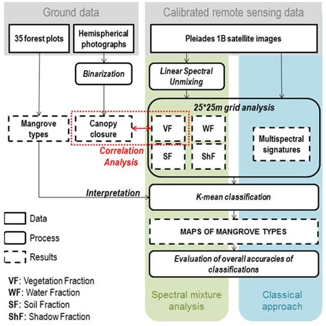 Flowchart Of Data Processing In Mangrove Mapping Download Scientific Diagram