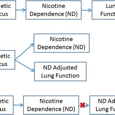 Models Of Genetic Pleiotropy Download Scientific Diagram
