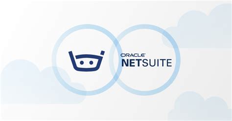 How To Optimize Netsuite Vendor Payment Processes