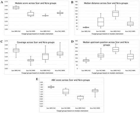 X Axis Shows Fungal Groups Species Similar To Either S Cerevisiae Or Download Scientific