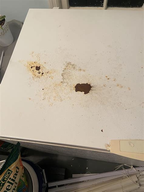 Deep Freezer Rust Rhomemaintenance