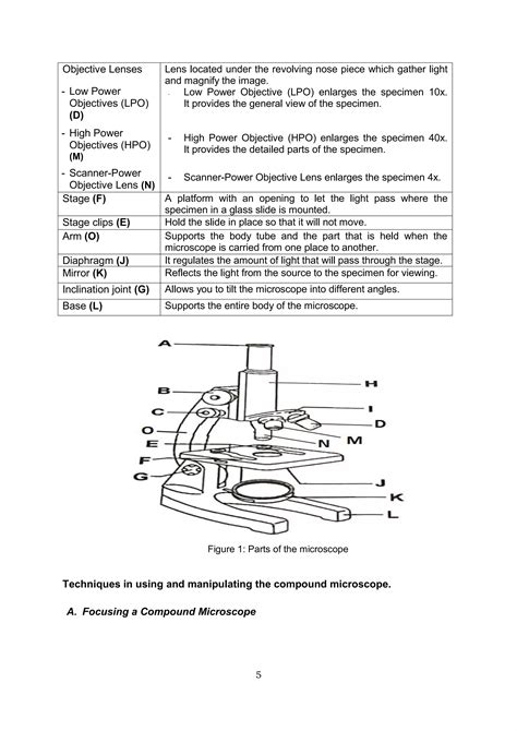 1 Grade 7 Q2 Module 1 Parts And Functions Of The Compound Microscope