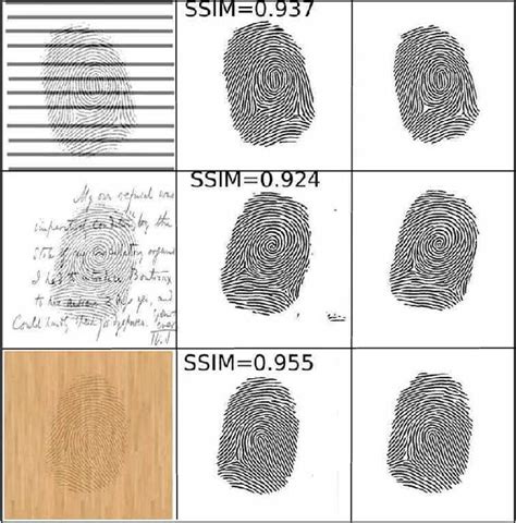 Figure 1 From Latent Fingerprint Enhancement Using Generative Adversarial Networks Semantic