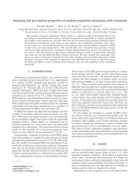 pdf jamming and percolation properties of random sequential