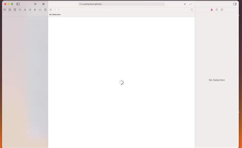Ios Xcode Crash On Load After Big Sur Installation Stack Overflow