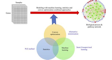 An Integrative Framework For Identifying Biological Process And Pathway
