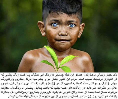 People In This Indonesian Tribe Have Dazzling Blue Eyes Goftar News