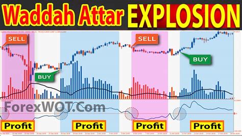 Forex And Stock Volume Trading How To Identify The Strongest And Most Profitable Trends To Trade