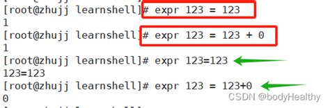 linux 学习笔记（3） —— shell 批处理脚本以及字符串的处理 linux 批处理 csdn博客